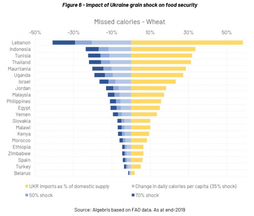 War and Grains: Impact of Ukraine-Russia conflict on food security and ...