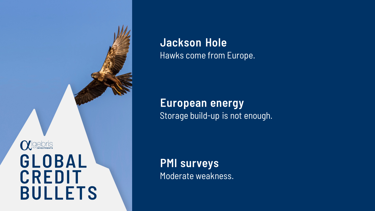 GLOBAL CREDIT BULLETS | Monday, 29th August 2022 - Algebris Investments