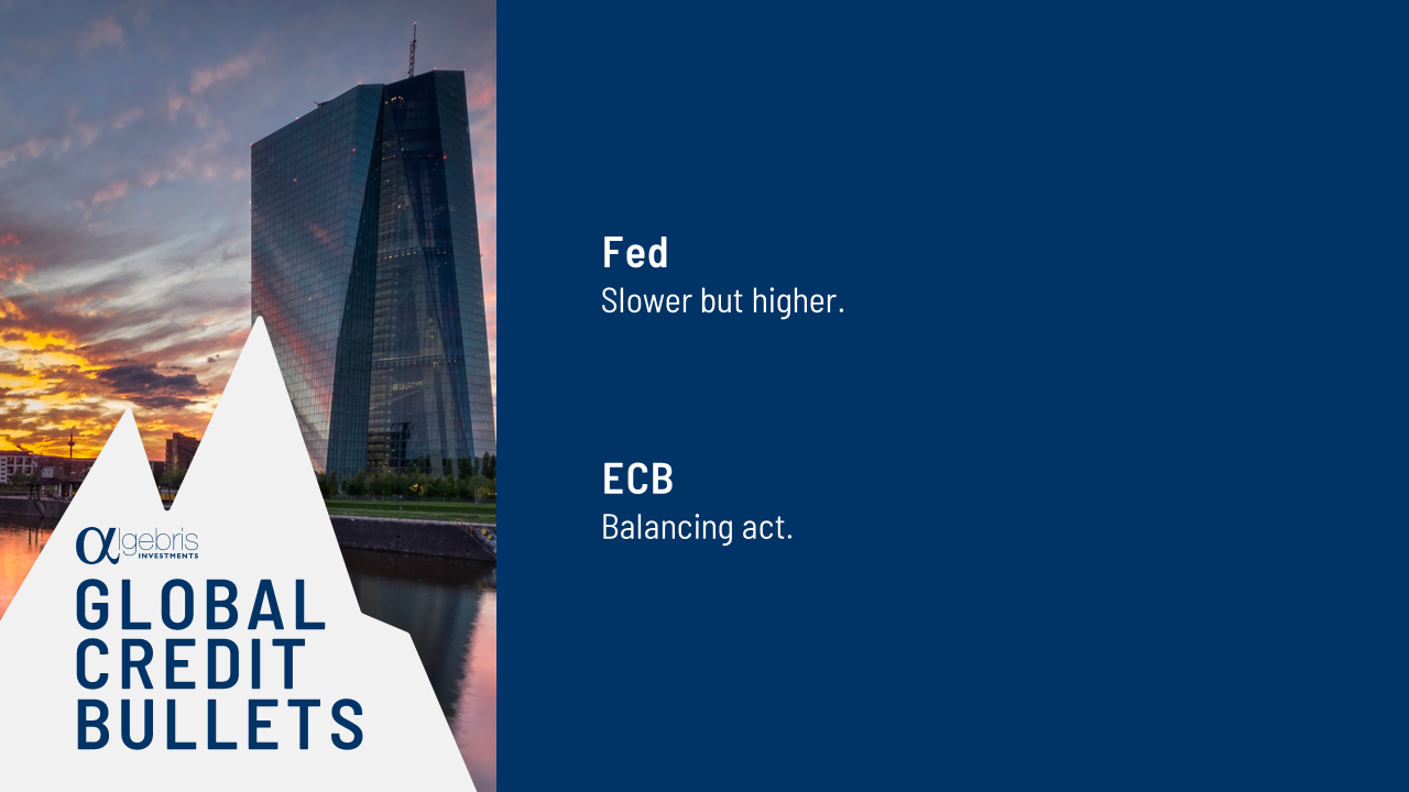 GLOBAL CREDIT BULLETS | Monday, 12th December 2022 - Algebris Investments