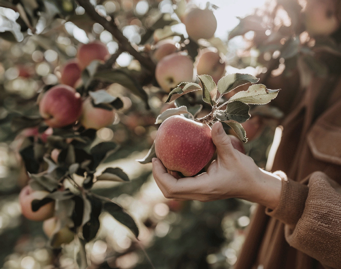 Year-end Updates 2024 | Global Credit: a selective approach heading ...